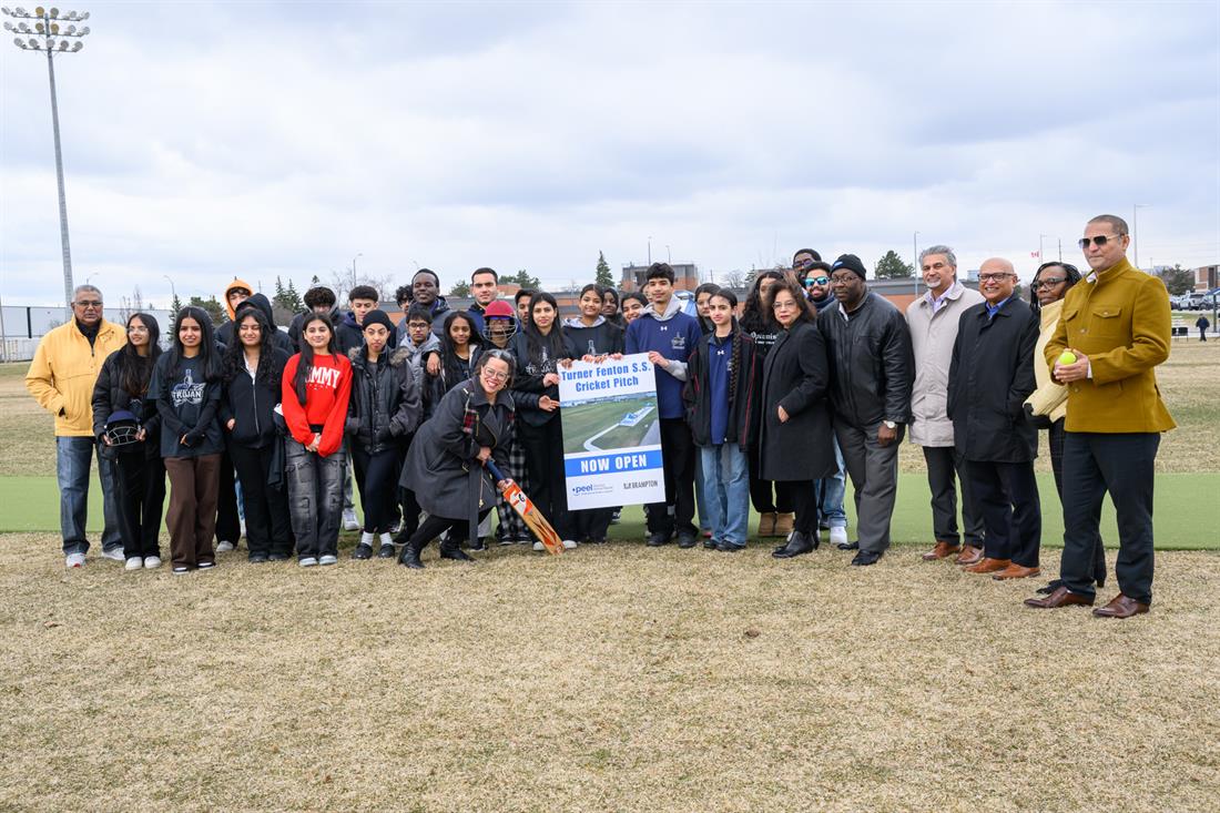 Turner Fenton Cricket Pitch